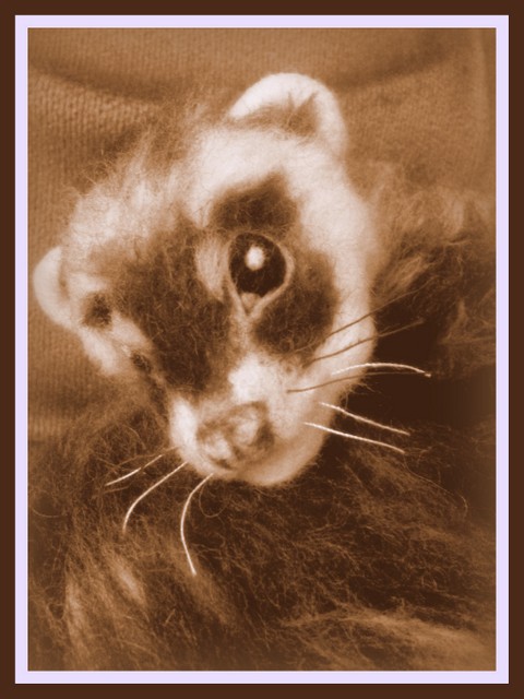 Needle felted ferret!! | Fit to be loved