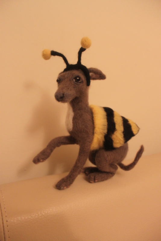 Italian Greyhound becomes Bee-dog! | Fit to be loved