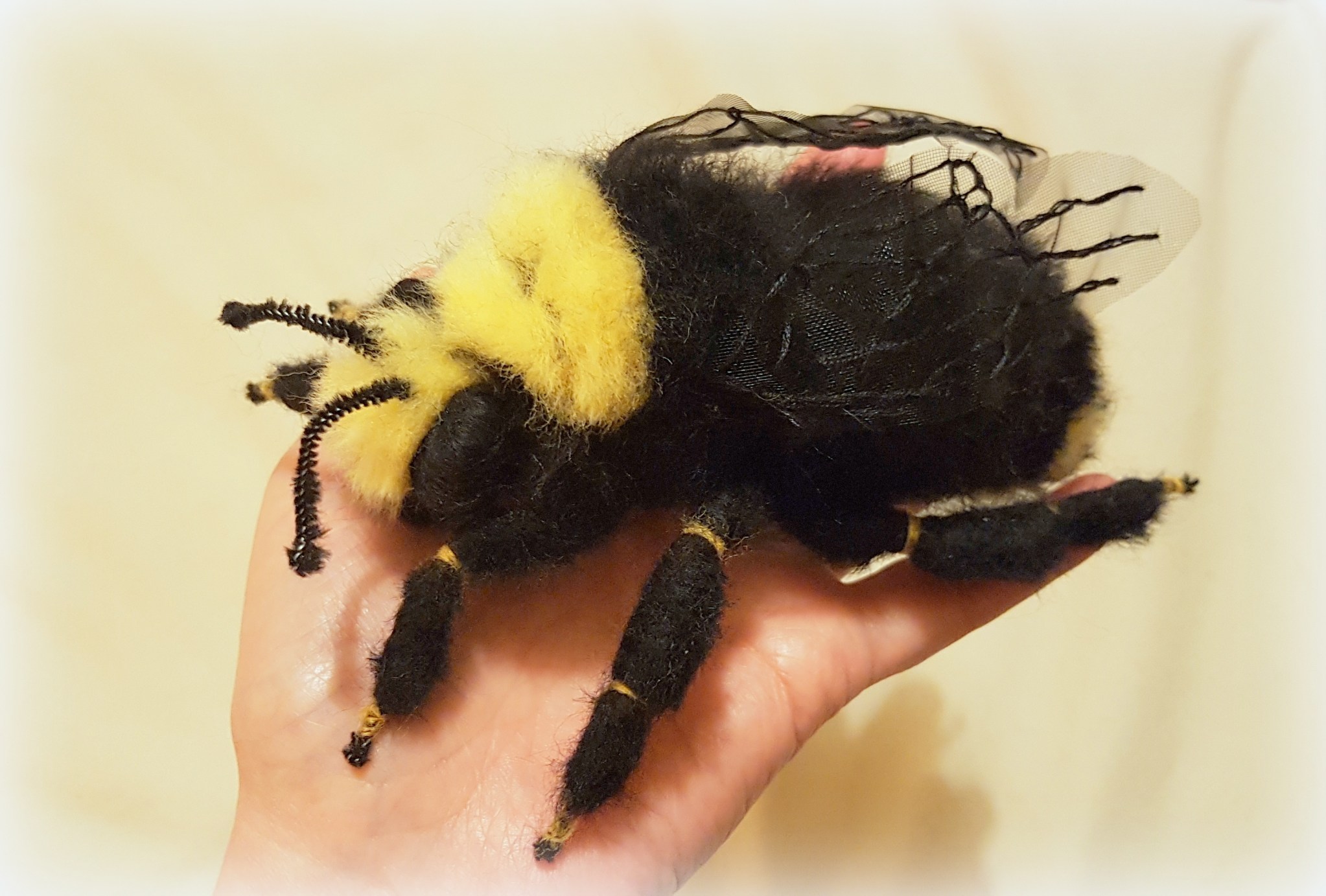 Unusual Bees | Fit to be loved