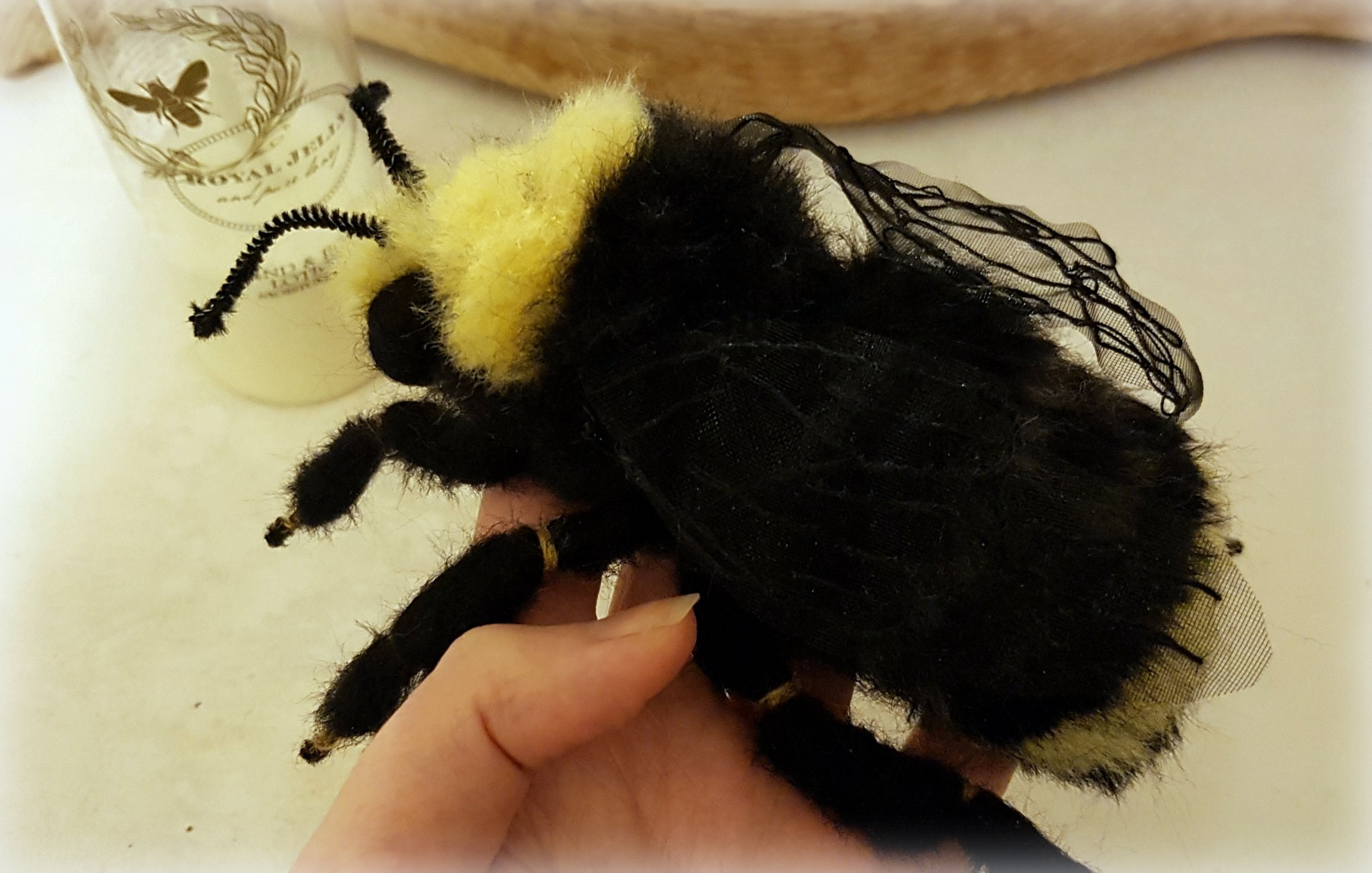 Unusual Bees | Fit to be loved