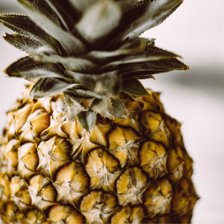 Needle Felting Wool: A Guide To The Different Types And How To Use Them ...