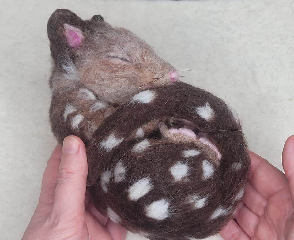 Needle Felted Quoll | Fit to be loved