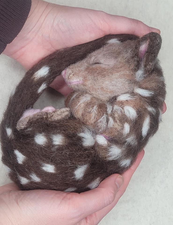 Needle Felted Quoll | Fit to be loved